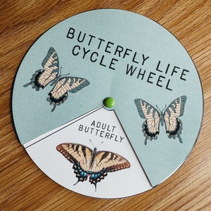 Butterfly & Moth Life Cycle Wheels, Learning Resource, Printable ...
