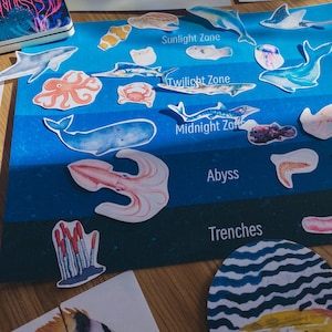 Ocean Unit Study, Homeschool, Learning Resource, Printable, Nature ...