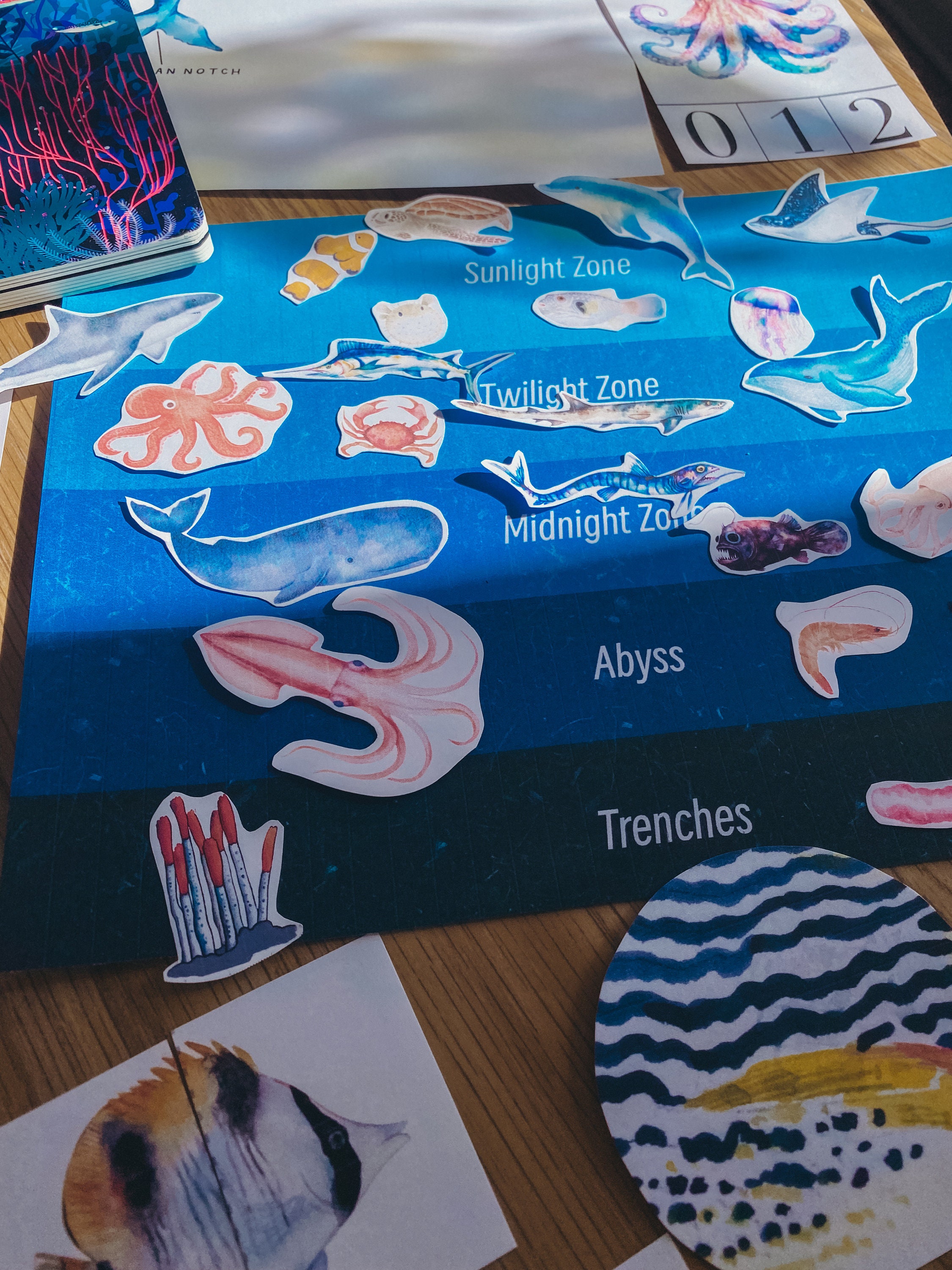 Ocean Unit Study, Homeschool, Learning Resource, Printable, Nature ...