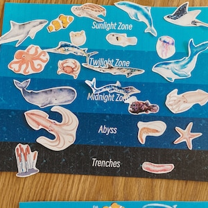 Ocean Unit Study, Homeschool, Learning Resource, Printable, Nature ...