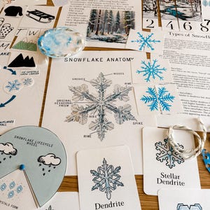 Winter Unit Study, 100 Page PDF, Morning Basket, Homeschool, Learning ...