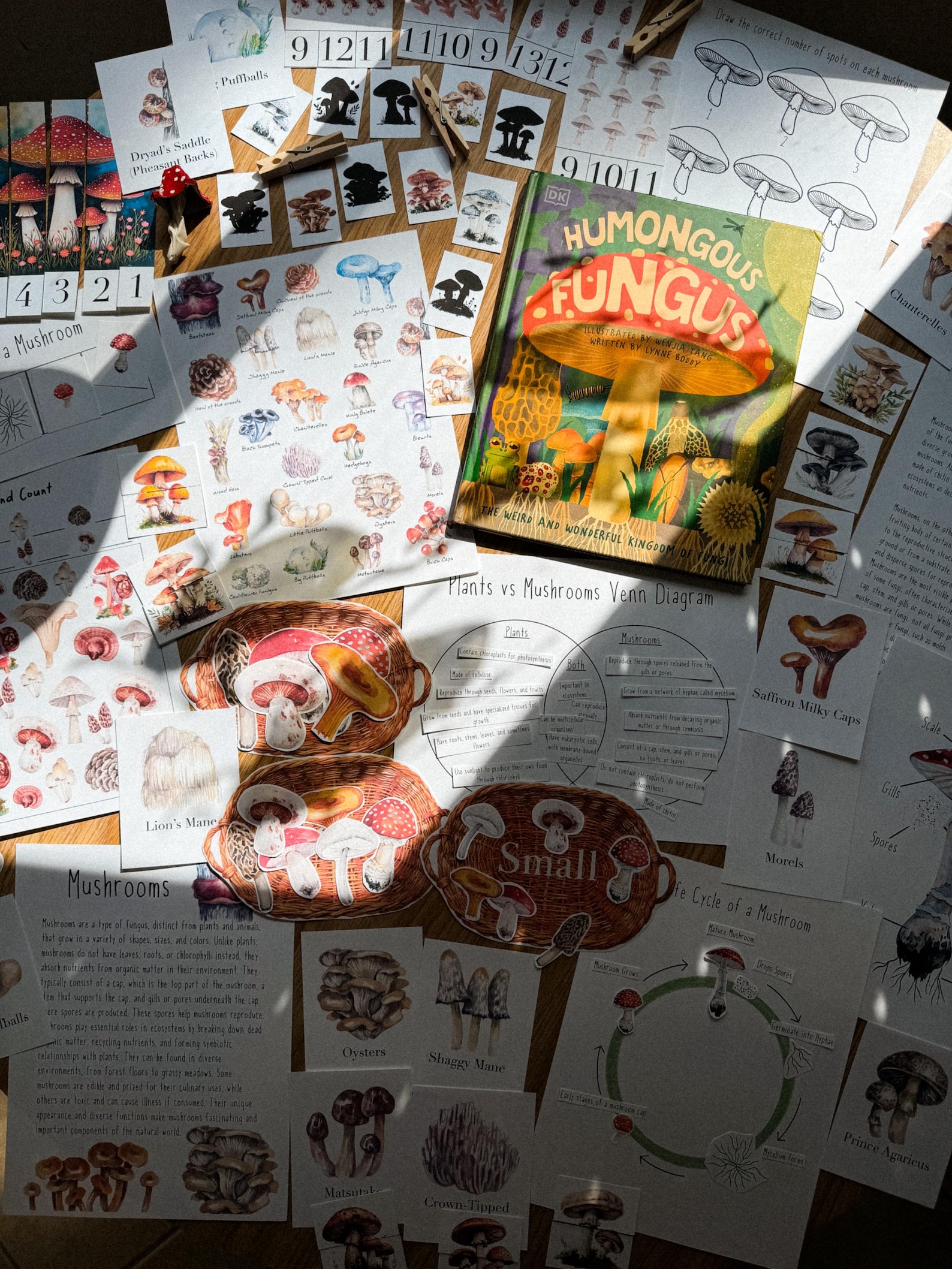 Mushroom & Fungi Unit Study, 110 Page PDF, Morning Basket, Homeschool ...