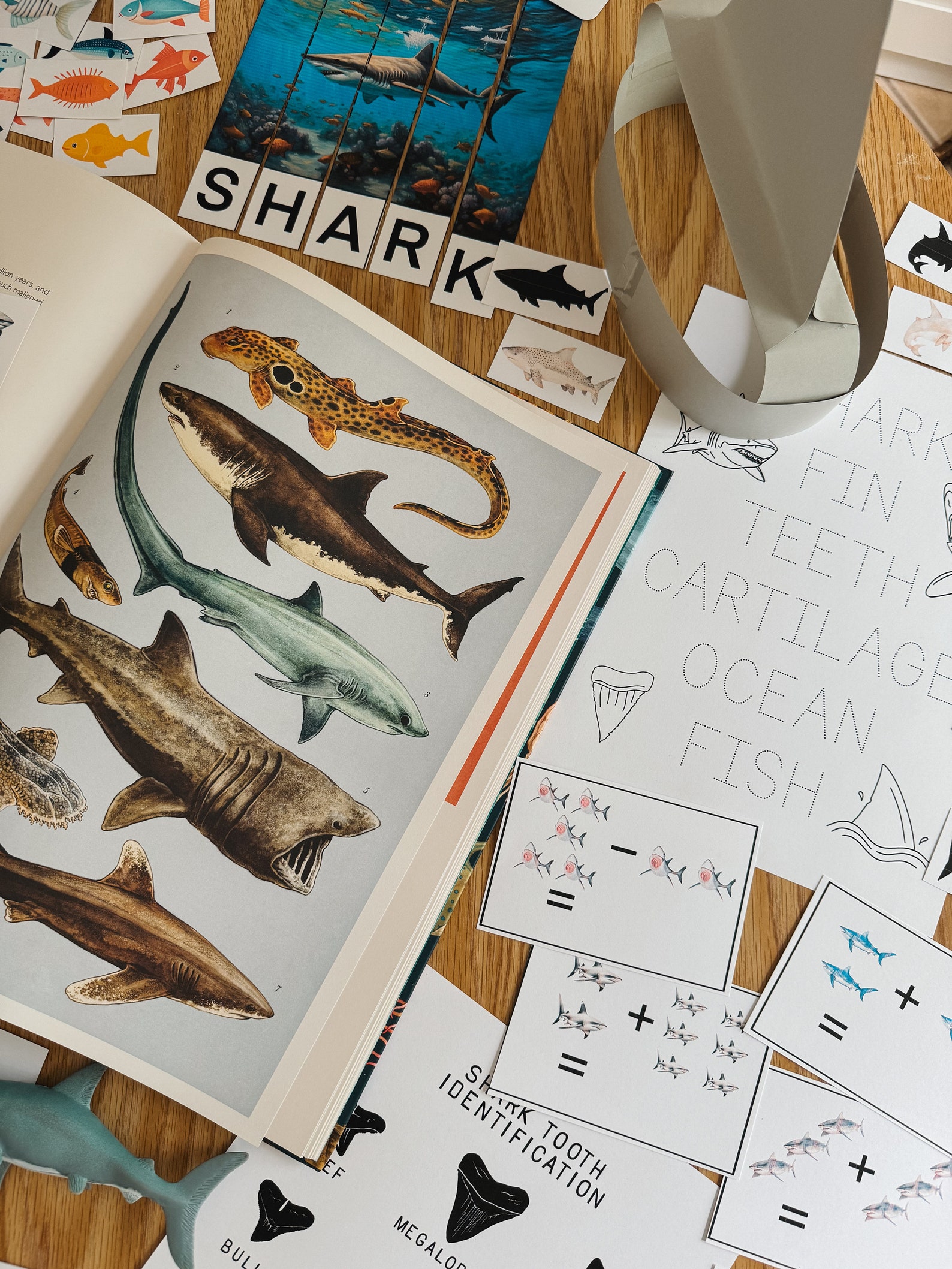 Shark Unit Study, Homeschool, Learning Resource, Printable, Nature ...