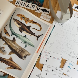 Shark Unit Study, Homeschool, Learning Resource, Printable, Nature ...