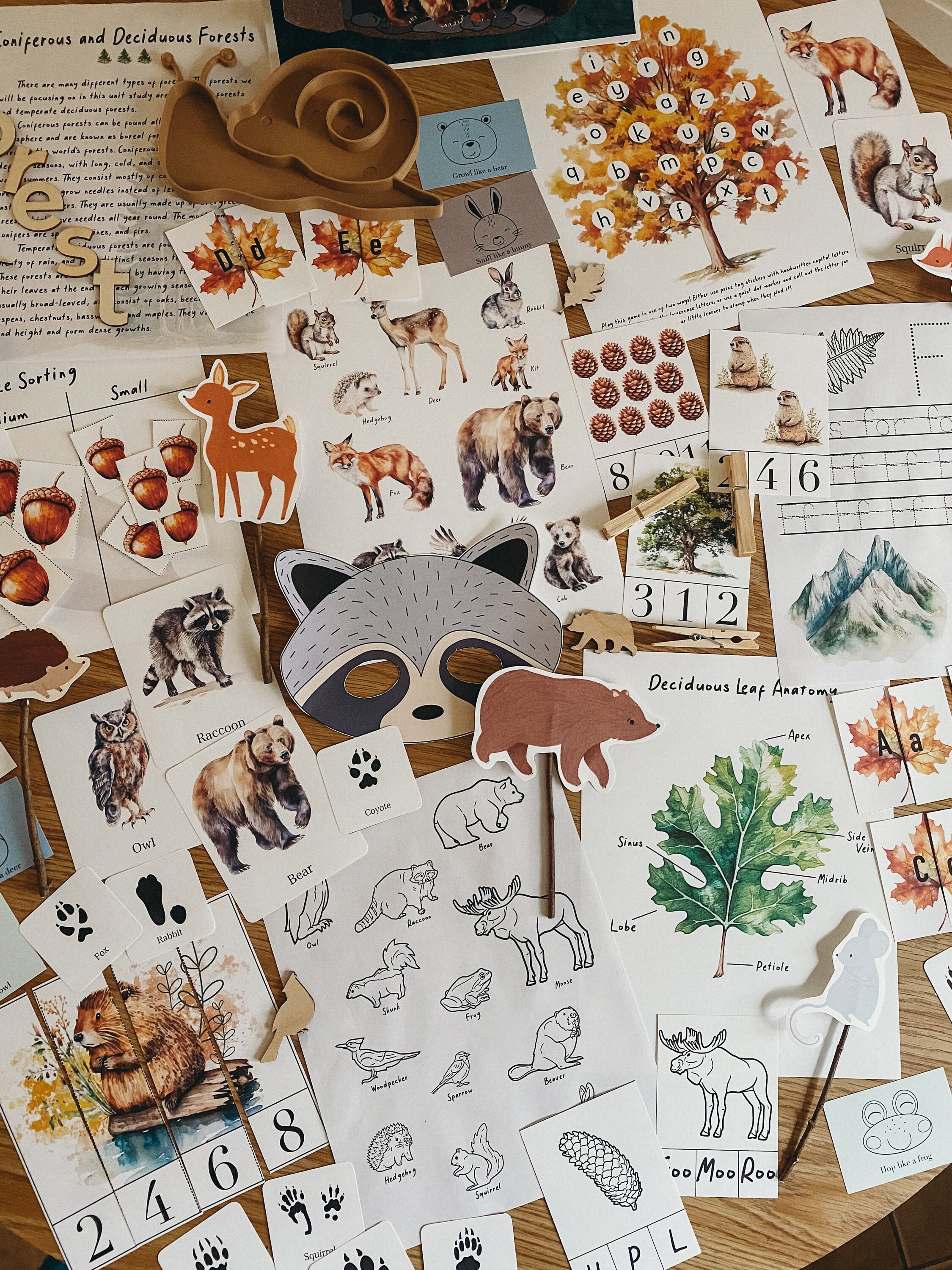 Forest Unit Study, 85 Page PDF, Morning Basket, Homeschool, Learning ...