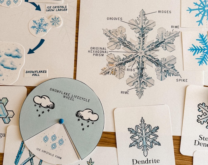 Snow Unit Study & Snowflakes Printable Bundle Winter Homeschool ...