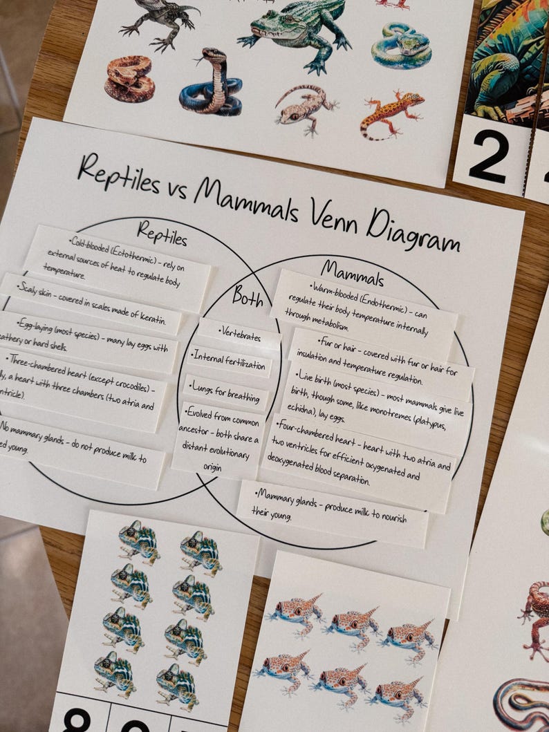 Reptiles Unit Study, Homeschool, Learning Resource, Printable, Nature ...