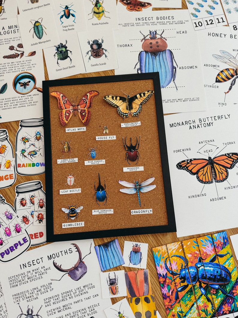 Bugs and Insects Unit Study, Homeschool, Learning Resource, Printable ...