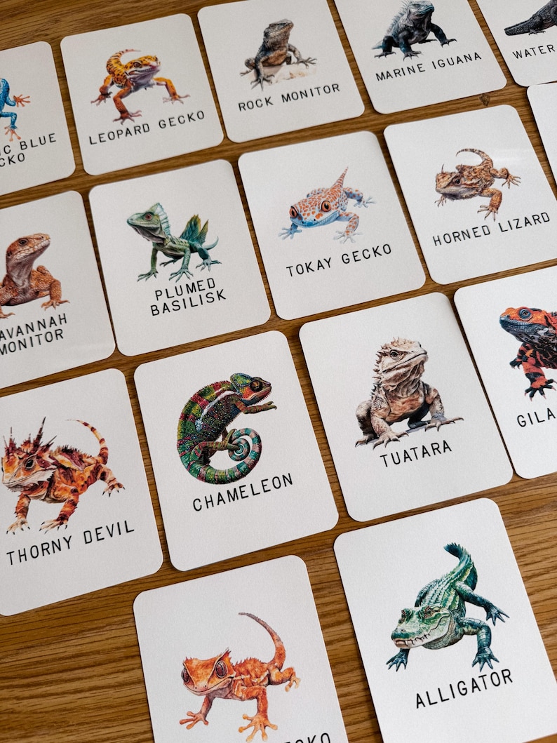 Reptile Species Flashcards, Homeschool, Learning Resource, Printable ...