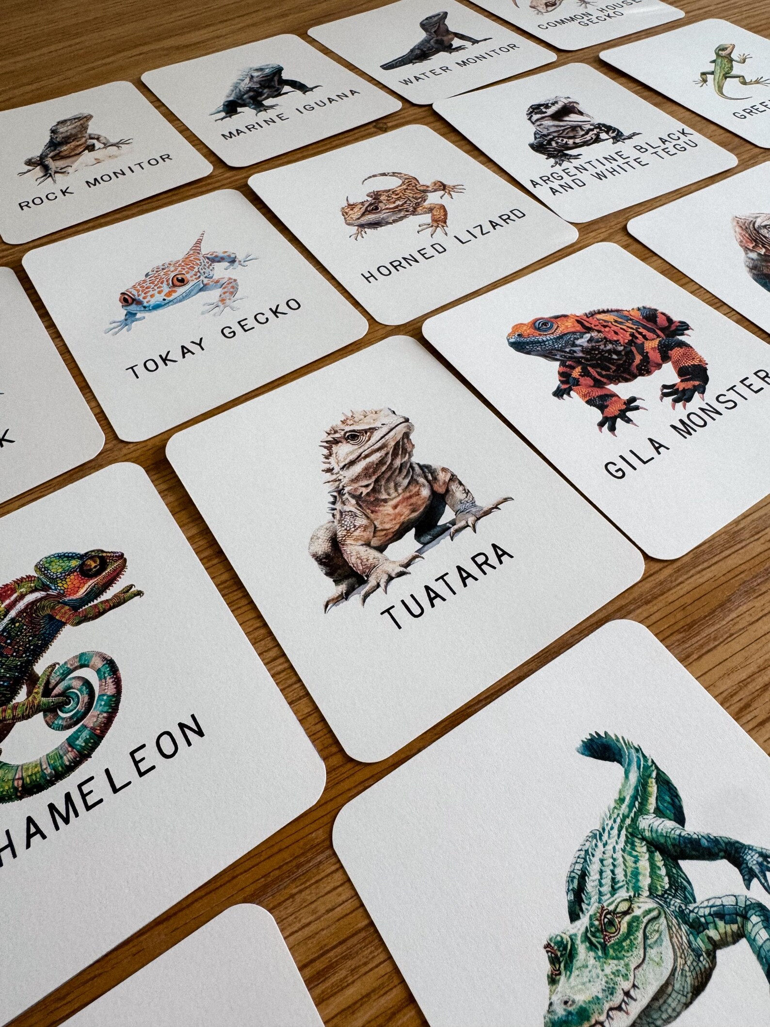 Reptile Species Flashcards, Homeschool, Learning Resource, Printable ...