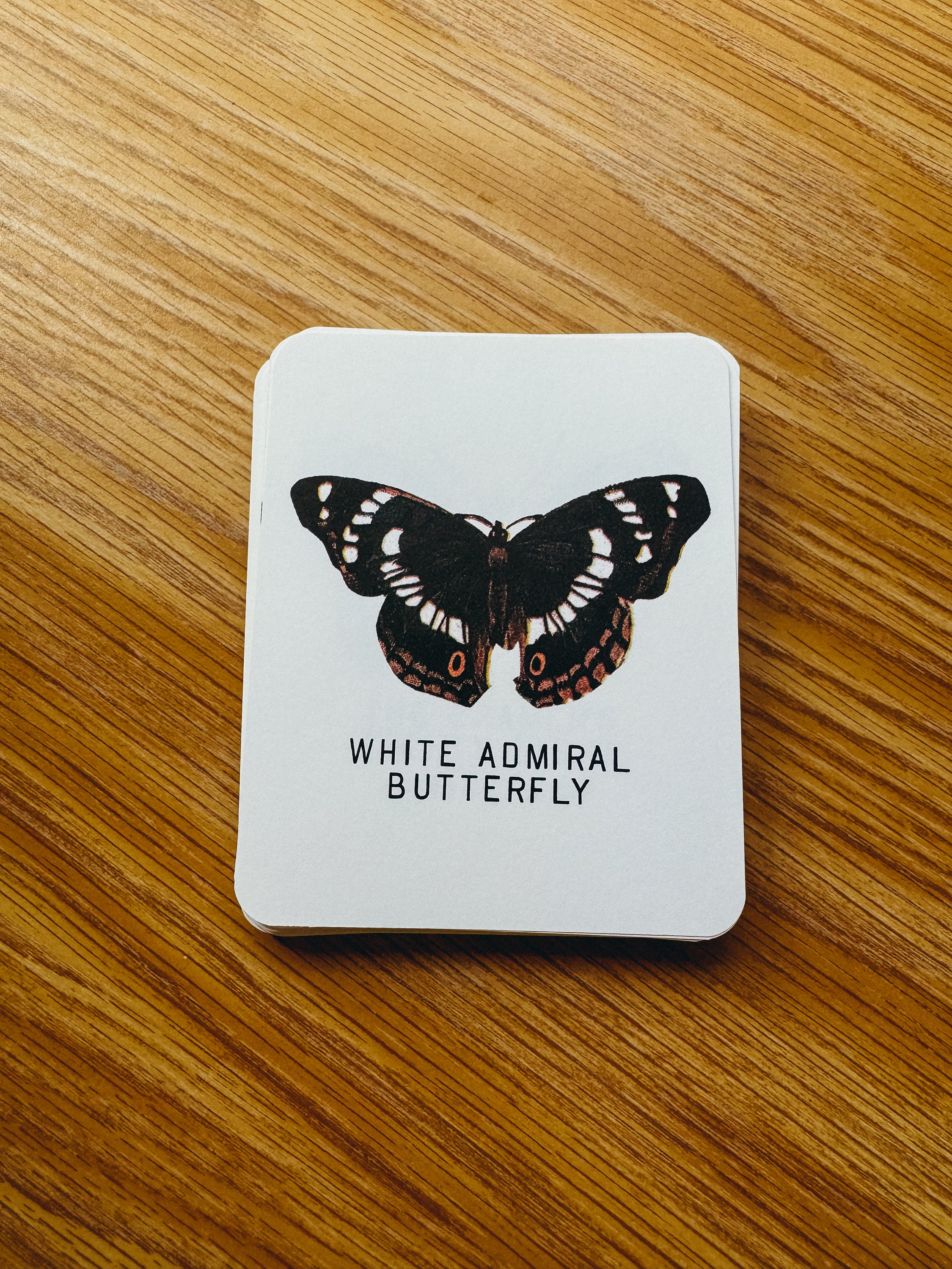 Butterfly and Moth Species Flashcards, Homeschool, Learning Resource ...
