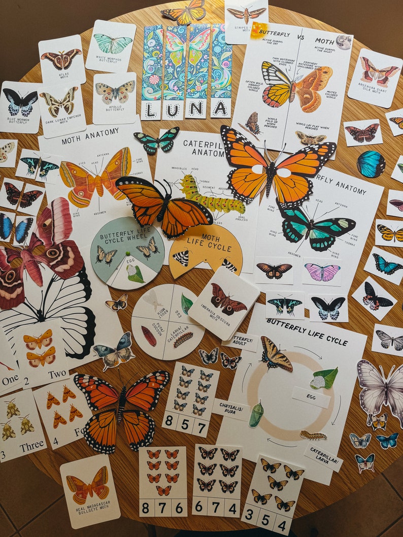 Butterfly & Moth Unit Study, 119 Page PDF, Morning Basket, Homeschool ...