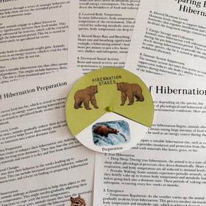 Hibernation/winter Sleep Unit Study, 107 Page PDF, Morning Basket ...