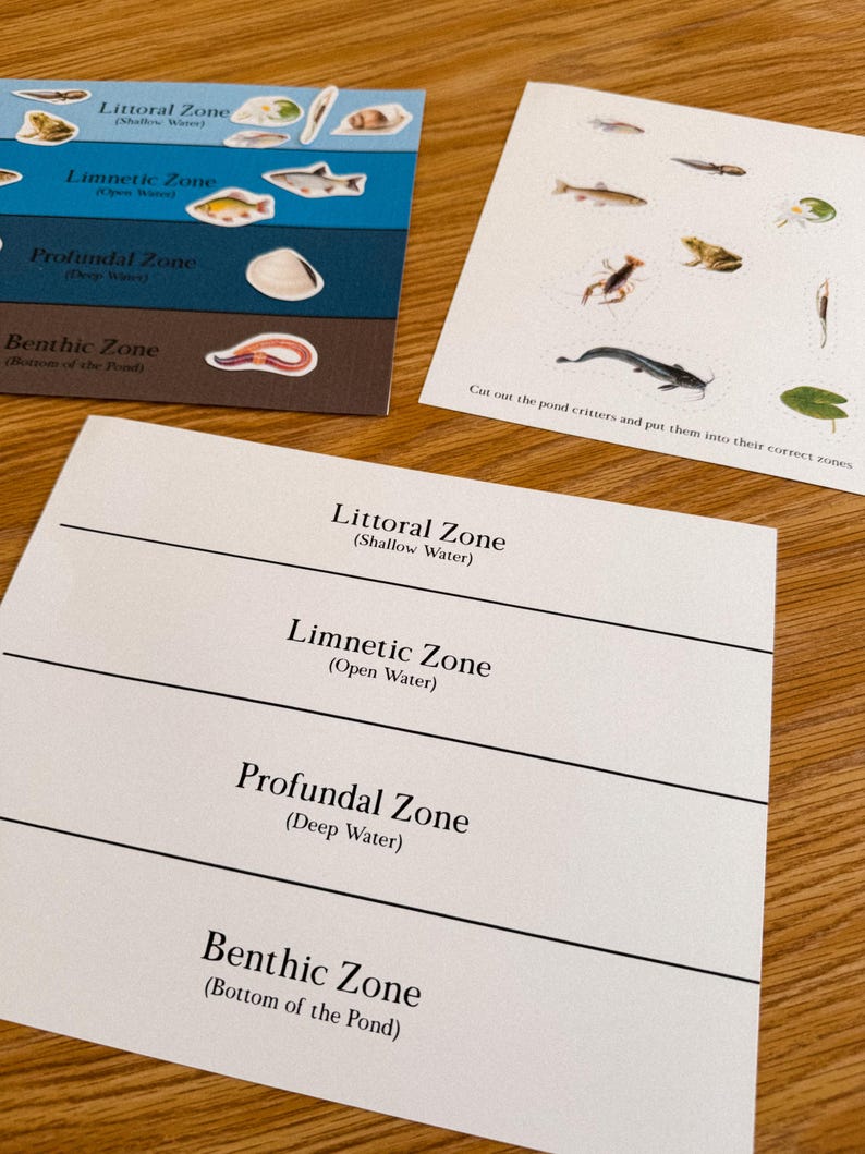 Pond and Lake Water Zones Activity, Morning Basket, Homeschool ...