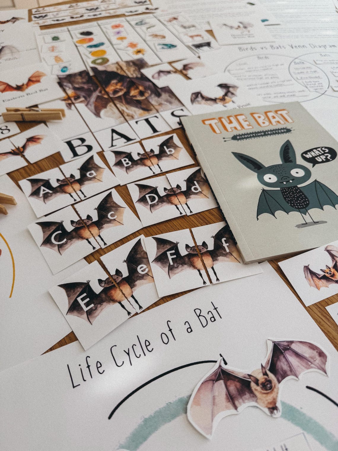 Bat Unit Study, 86 Page PDF, Morning Basket, Homeschool, Learning ...