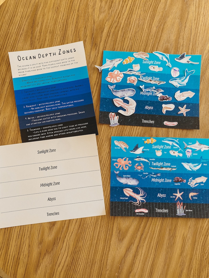 Ocean Zones Activity, Morning Basket, Homeschool, Learning Resource ...