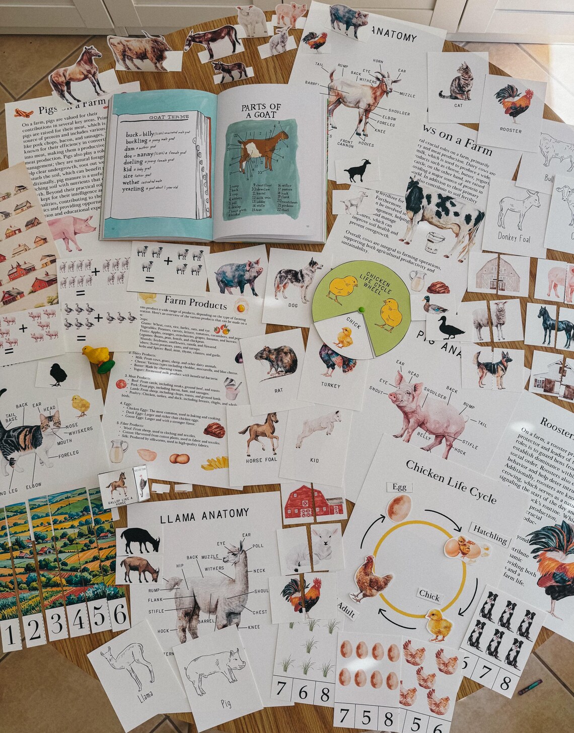 Farm Animals Unit Study, MEGA 191 Page PDF, Morning Basket, Homeschool ...