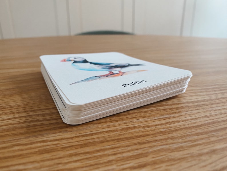 Tarjetas didácticas sobre especies de aves, canasta matutina, educación ...
