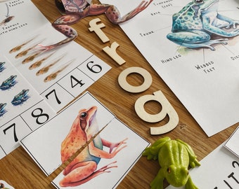 Parts of a Honey Bee Nomenclature 3-part Cards Montessori Zoology ...