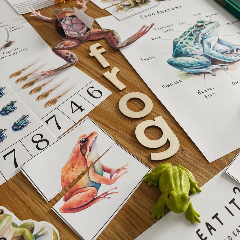 Frog Study Shirt - Etsy