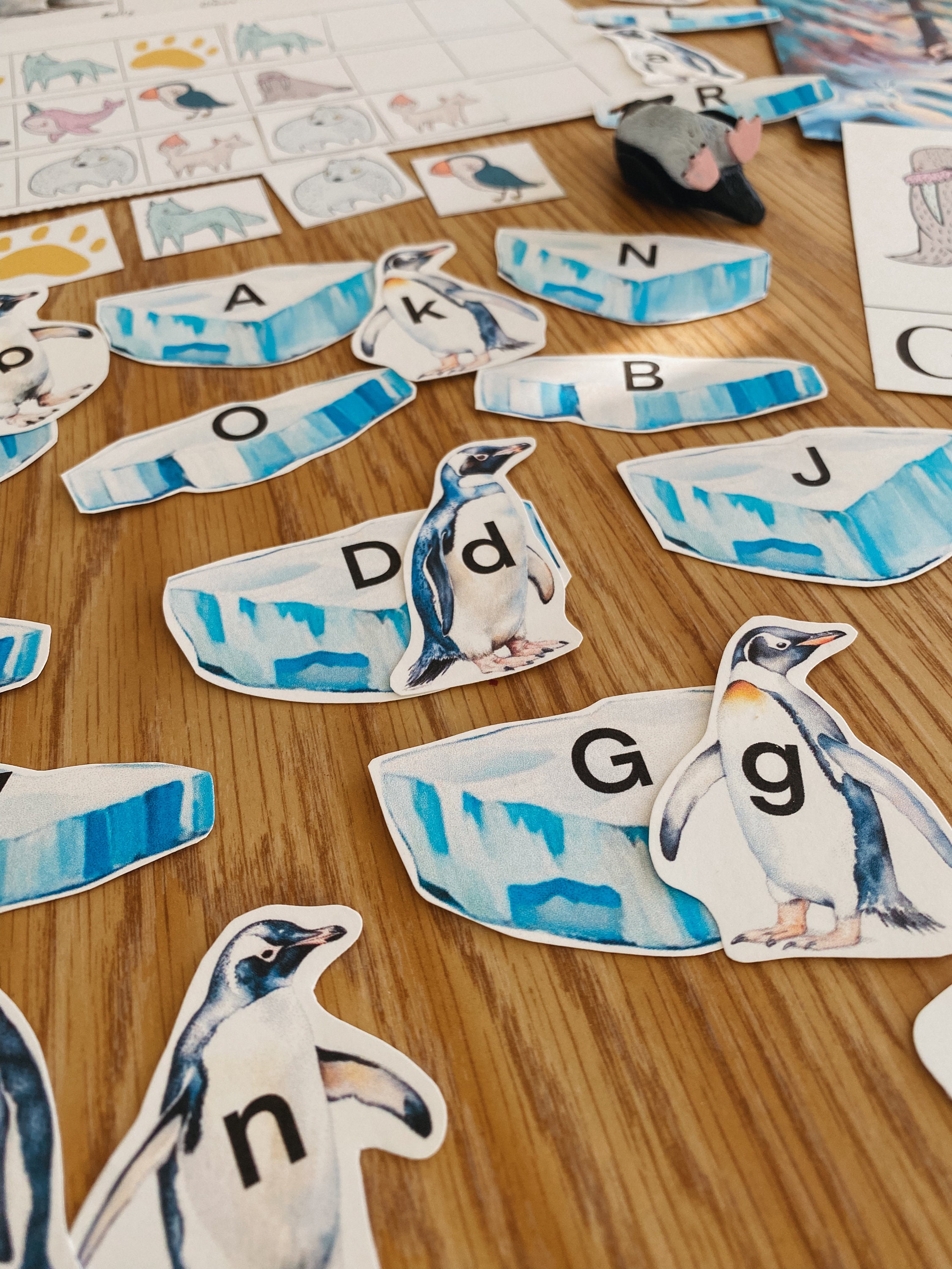 Polar Unit Study, 74 Page PDF, the Arctic and Antarctic, Homeschool ...