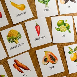 Fruit and Vegetable Flashcards, Homeschool, Learning Resource ...
