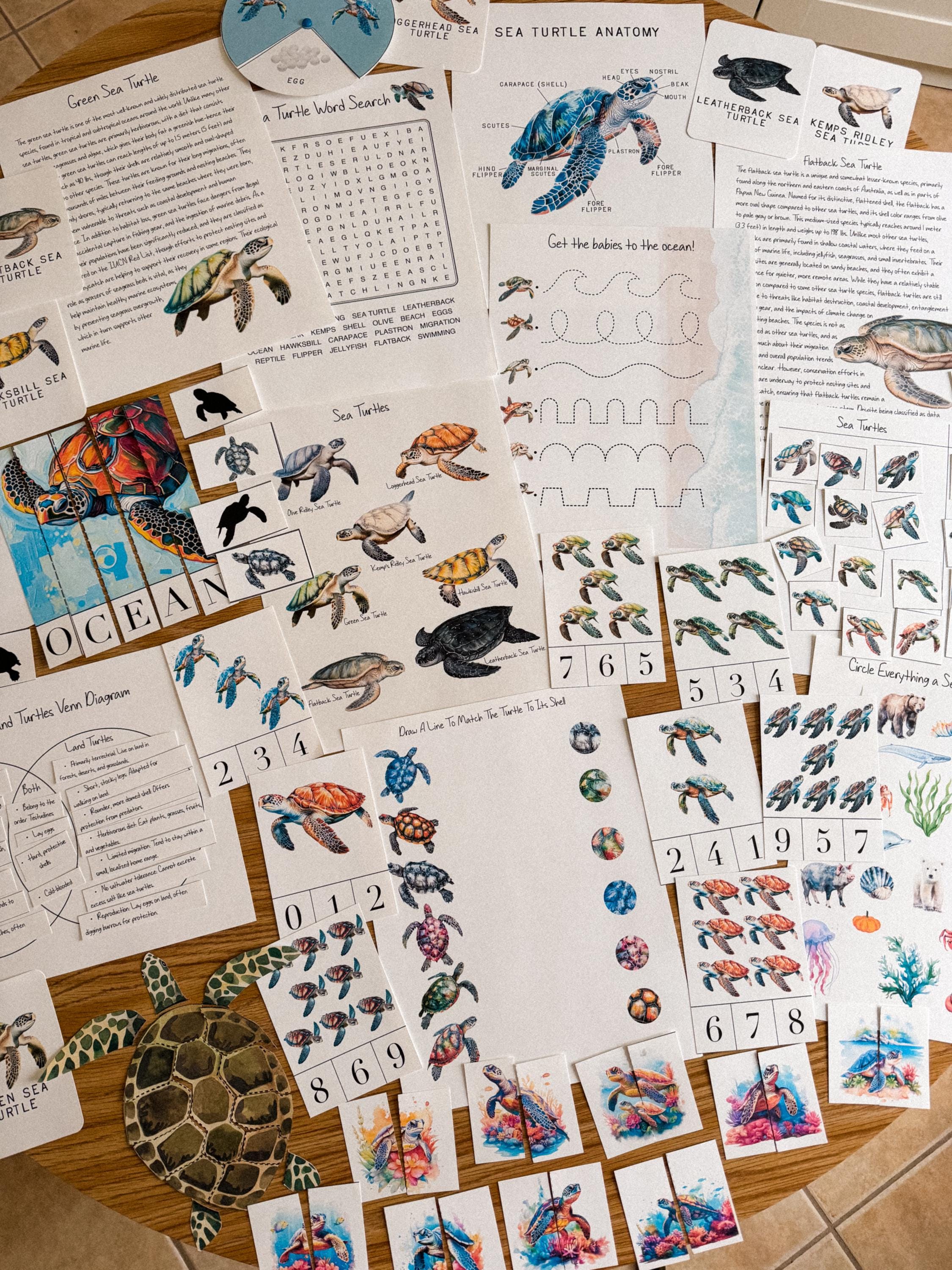 Sea Turtles Unit Study, Homeschool, Learning Resource, Printable ...