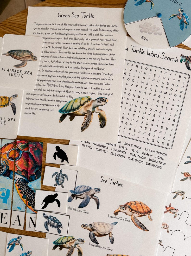 Sea Turtles Unit Study, Homeschool, Learning Resource, Printable ...