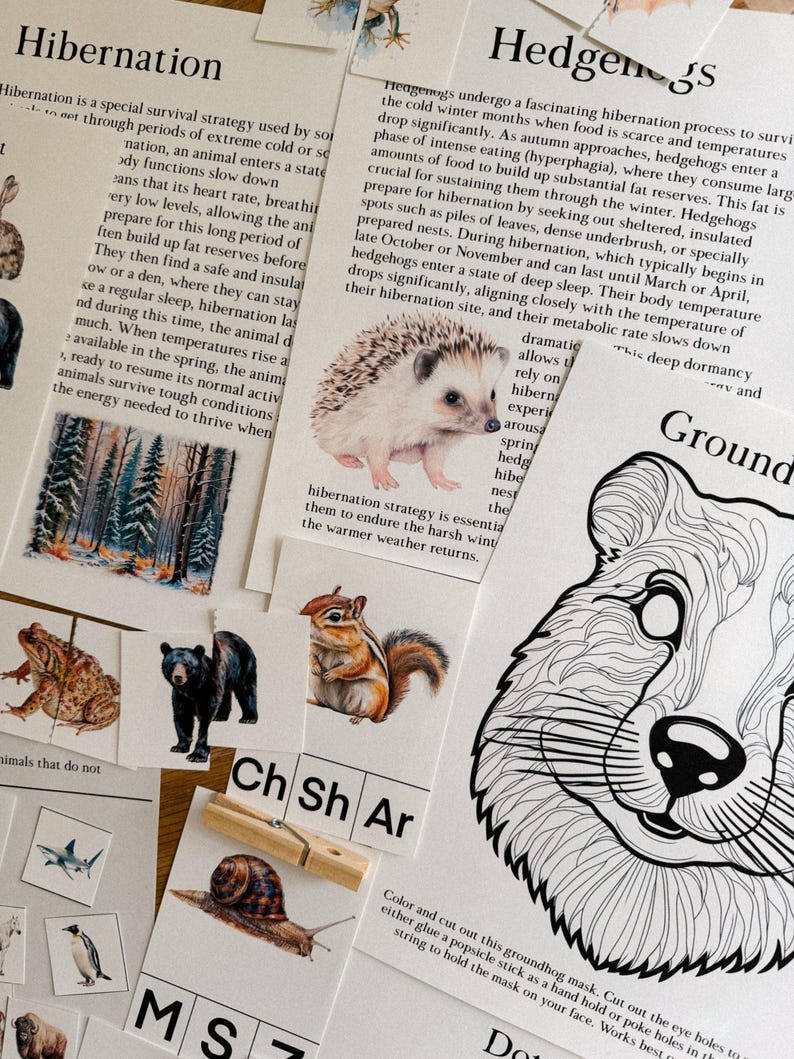 Hibernation/winter Sleep Unit Study, 107 Page PDF, Morning Basket ...