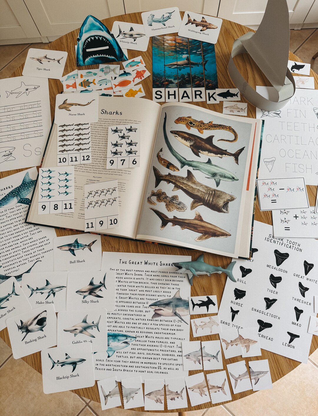 Shark Unit Study, Homeschool, Learning Resource, Printable, Nature ...