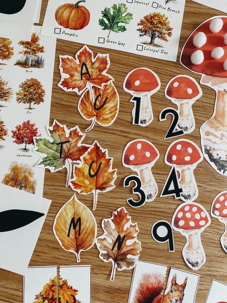 Autumn/fall Unit Study, 63 Page PDF, Morning Basket, Homeschool ...