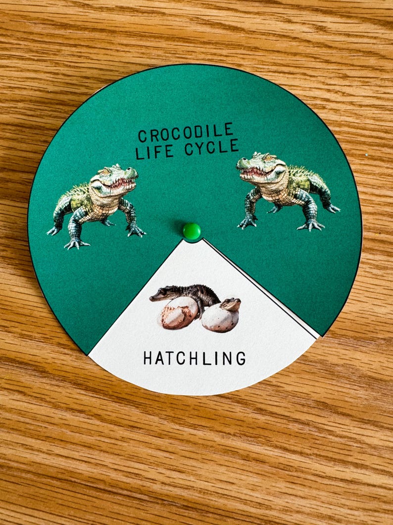 Crocodile Life Cycle Wheel and Worksheet, Learning Resource, Printable ...
