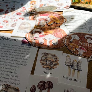 Mushroom & Fungi Unit Study, 110 Page PDF, Morning Basket, Homeschool ...