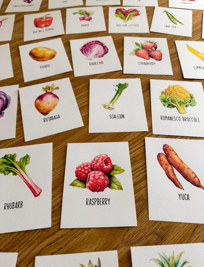Fruit and Vegetable Flashcards, Homeschool, Learning Resource ...