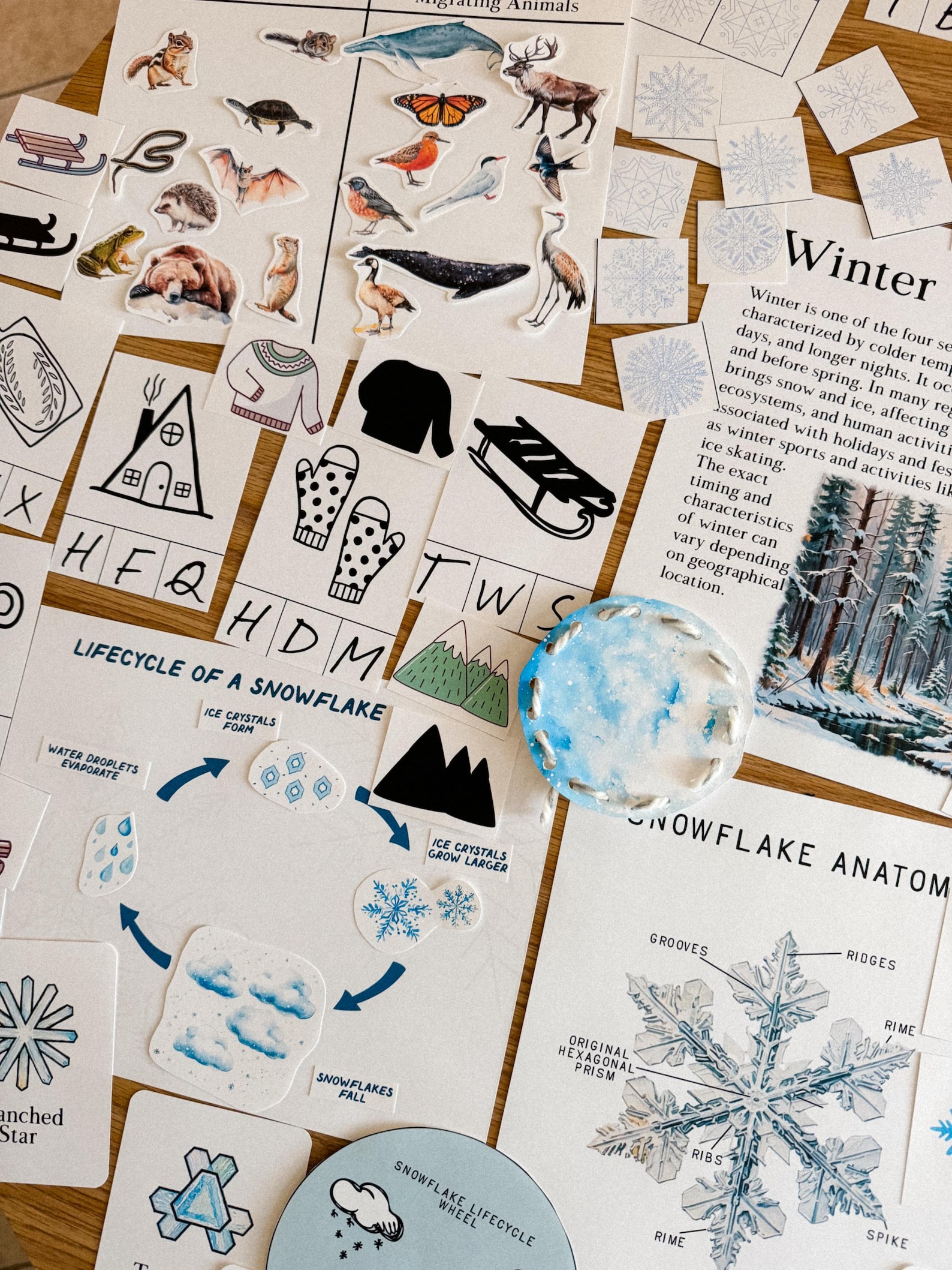 Winter Unit Study, 100 Page PDF, Morning Basket, Homeschool, Learning ...