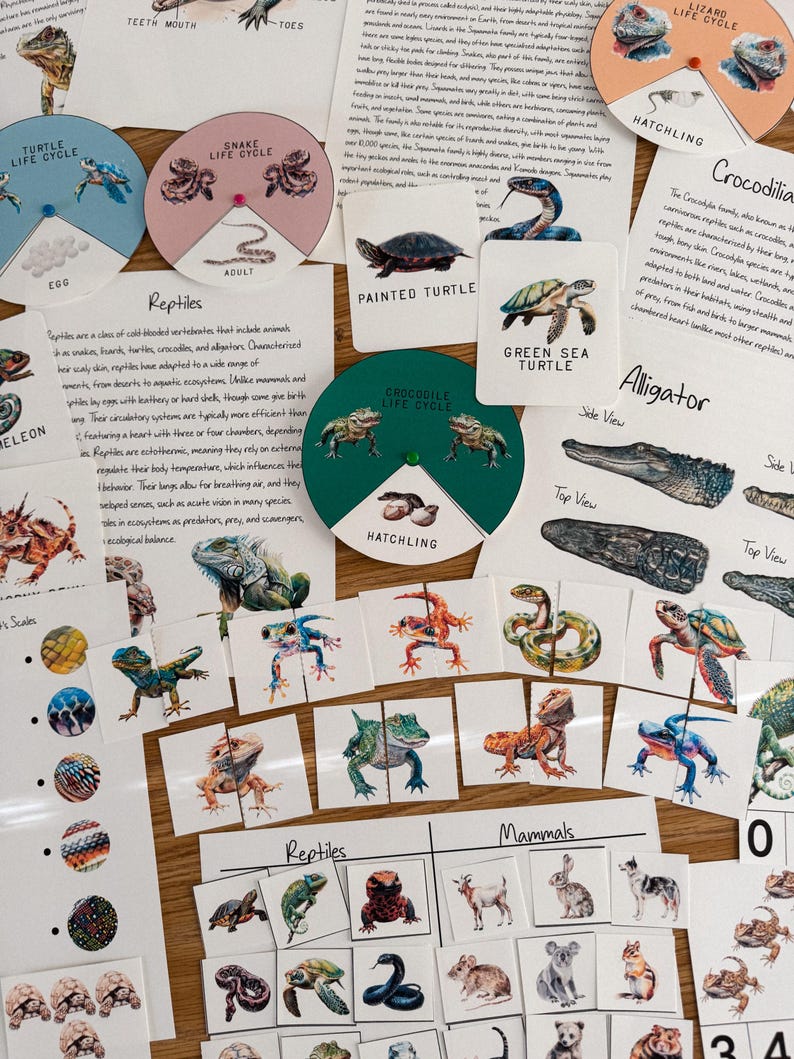 Reptiles Unit Study, Homeschool, Learning Resource, Printable, Nature ...