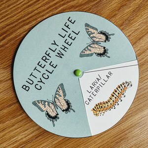 Butterfly & Moth Life Cycle Wheels, Learning Resource, Printable ...