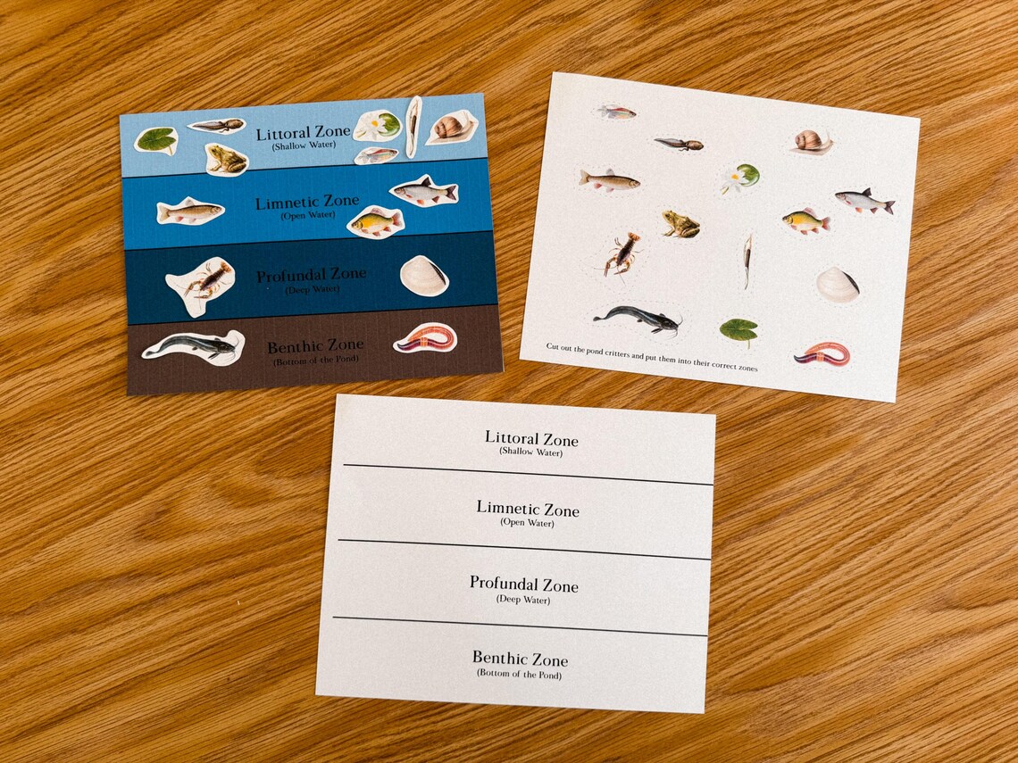 Pond and Lake Water Zones Activity, Morning Basket, Homeschool ...