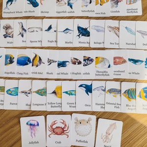 Ocean Animal Flashcards, Morning Basket, Homeschool, Learning Resource ...
