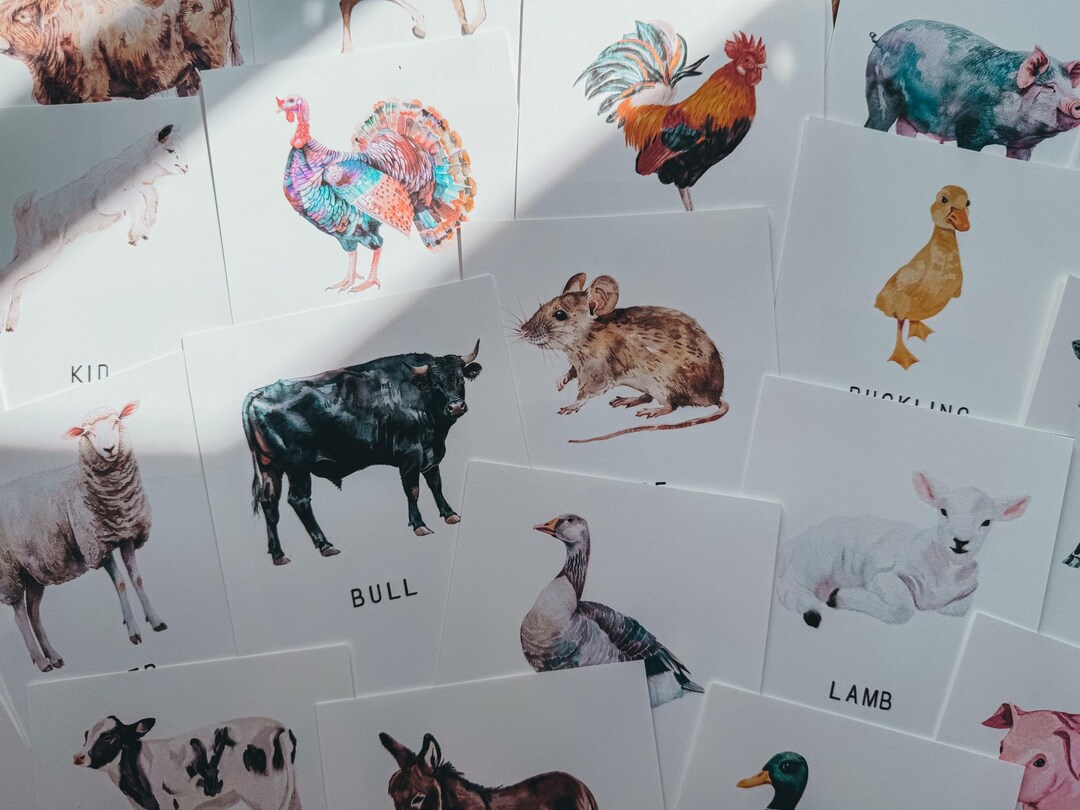 Farm Animal Flashcards, Homeschool, Learning Resource, Printable ...