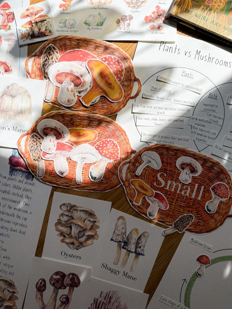 Mushroom & Fungi Unit Study, 110 Page PDF, Morning Basket, Homeschool ...