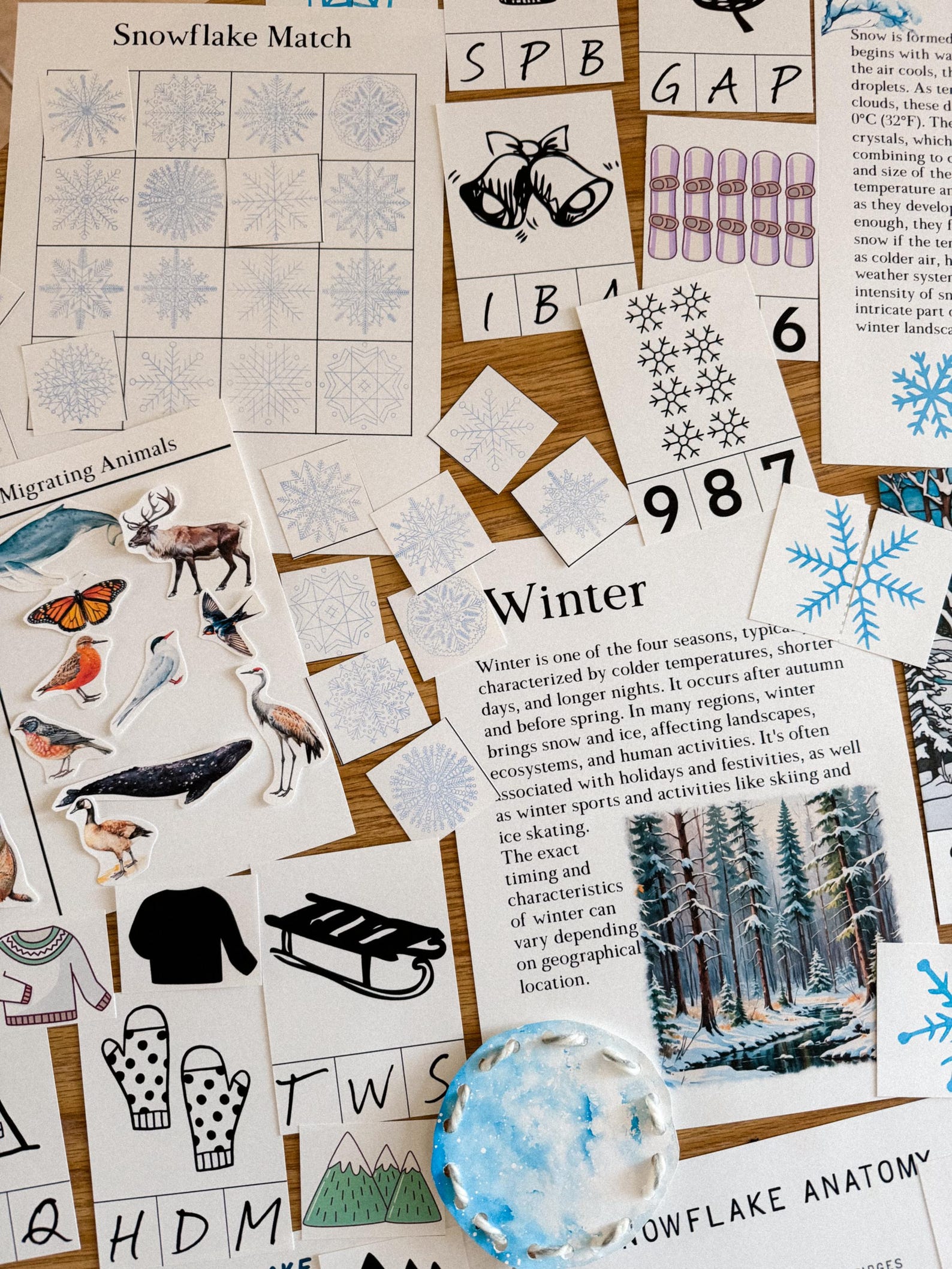 Winter Unit Study, 100 Page PDF, Morning Basket, Homeschool, Learning ...