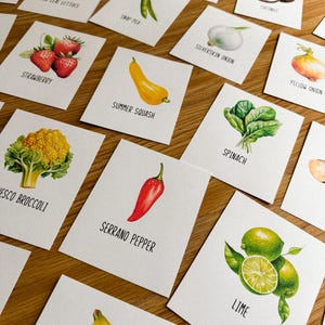Fruit and Vegetable Flashcards, Homeschool, Learning Resource ...