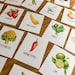 Fruit and Vegetable Flashcards, Homeschool, Learning Resource ...