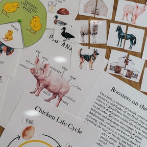 Farm Animals Unit Study, MEGA 191 Page PDF, Morning Basket, Homeschool ...