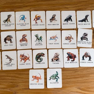 Reptile Species Flashcards, Homeschool, Learning Resource, Printable ...