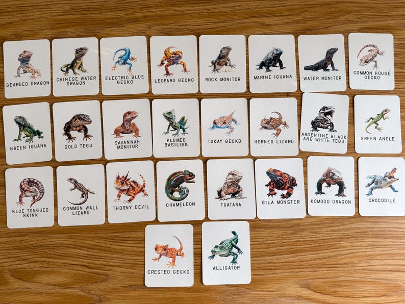 Reptile Species Flashcards, Homeschool, Learning Resource, Printable ...