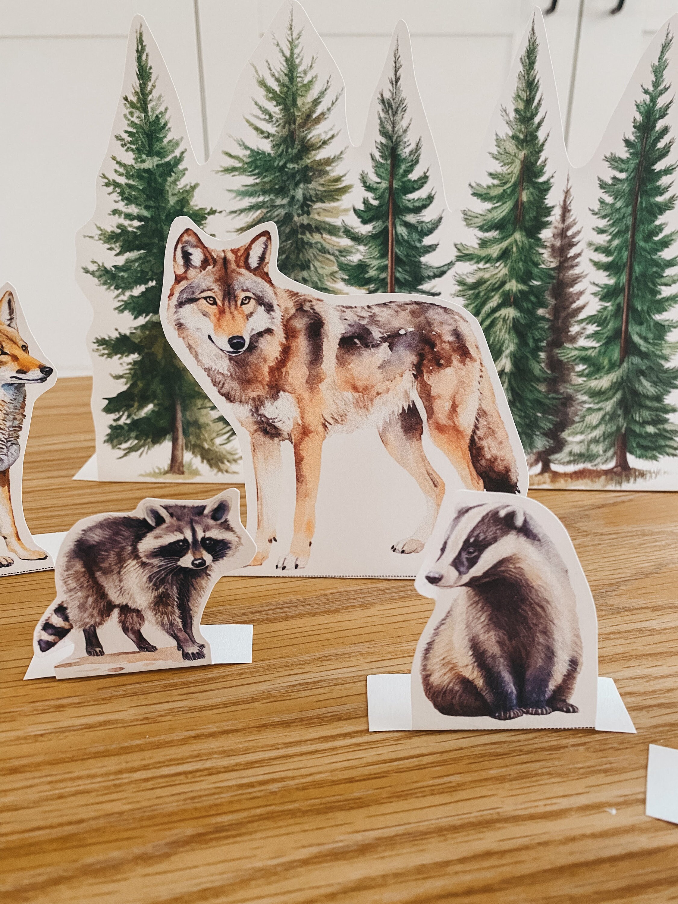 Forest Nature Scenes Paper Cutouts, Morning Basket, Homeschool ...