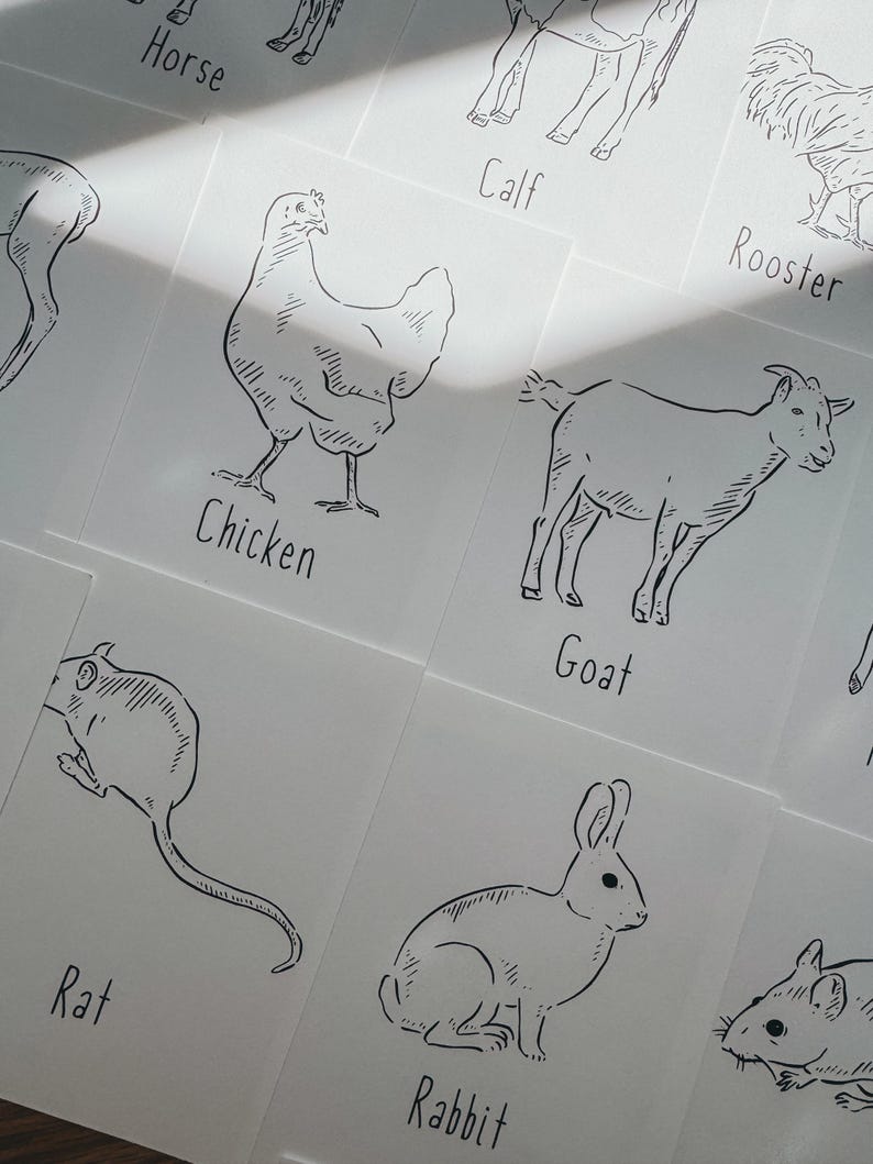 Color Your Own Farm Animal Flashcards, Homeschool, Learning Resource ...