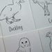 Color Your Own Farm Animal Flashcards, Homeschool, Learning Resource ...